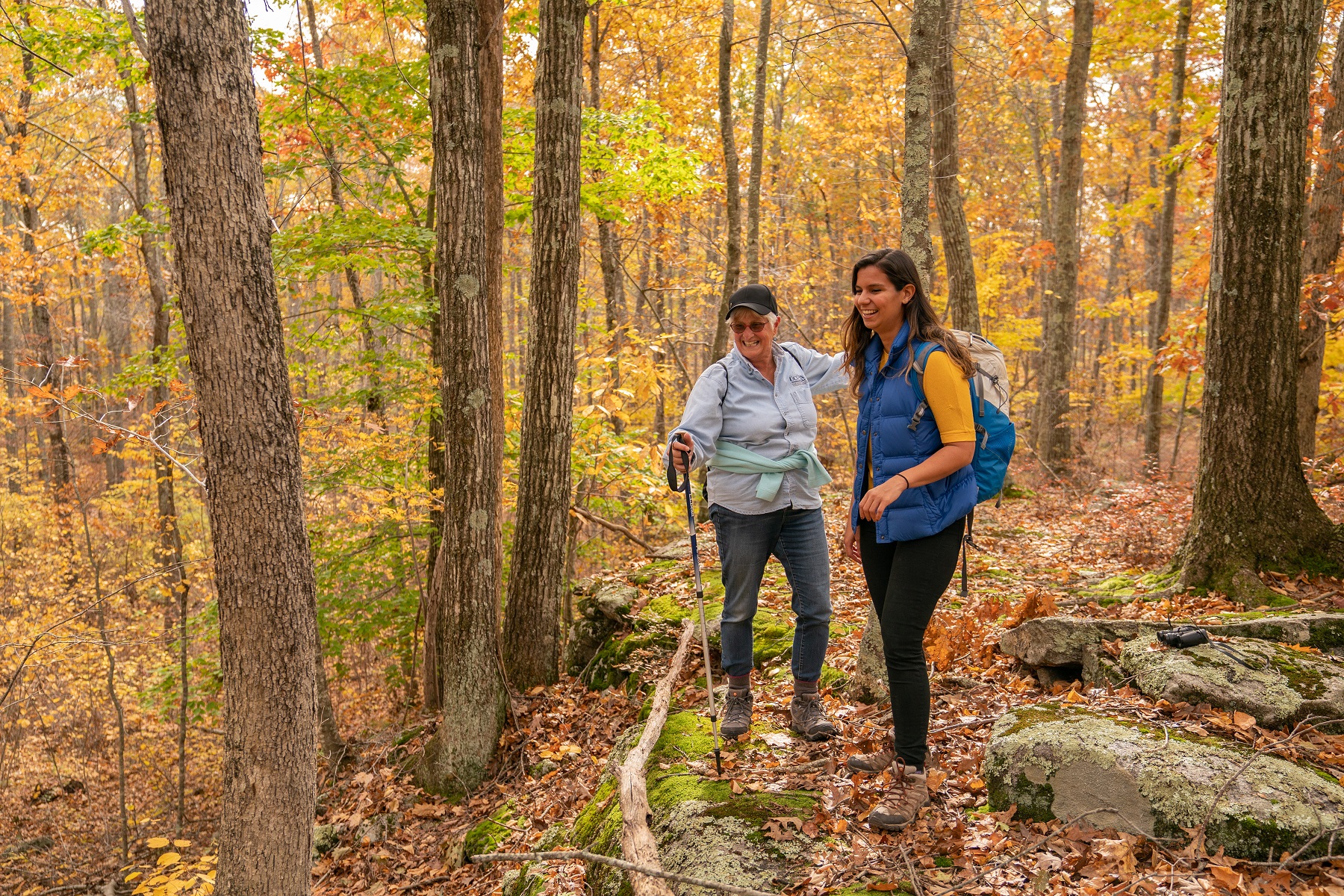 Create a bigger, better Mono Pond State Park! - ioby