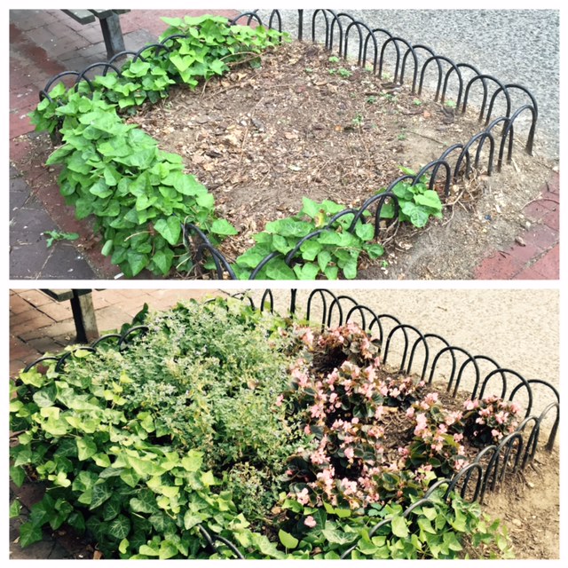 Father Fagan Flower Fund! - ioby