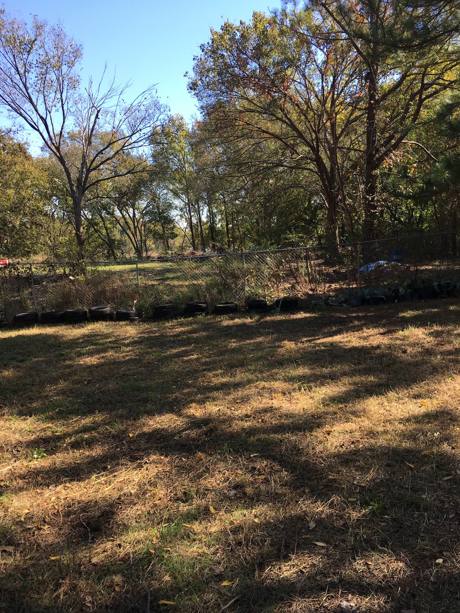 The Peaceful Healing Garden - ioby