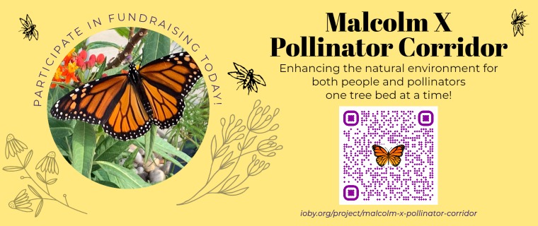 Malcolm X Pollinator Corridor - ioby