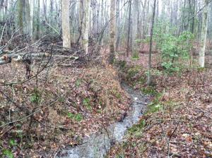 Powhite Park Trail Bridge - ioby