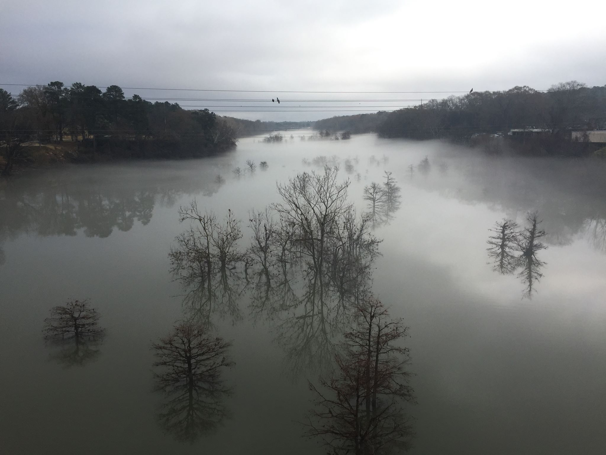 Tulotoma Snail Trail - ioby