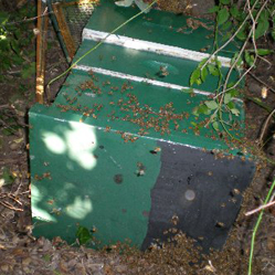 Broken Beehive Needs Repair - ioby